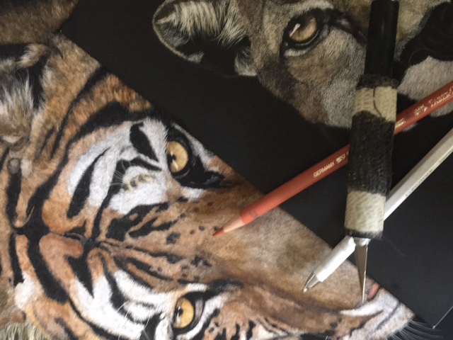 What is Scratchboard? – George Ann Johnson Art