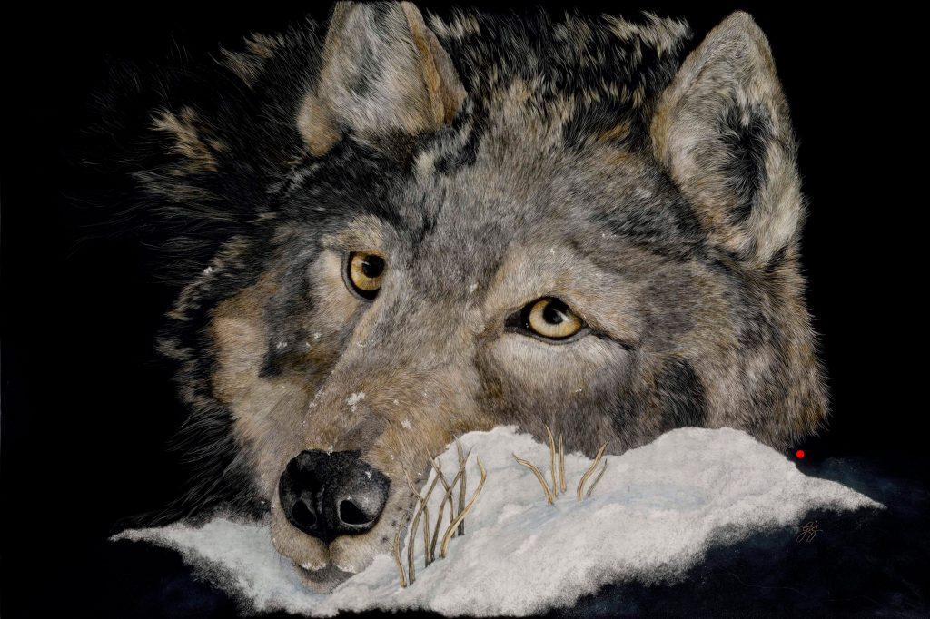 George Ann Johnson Art – Wildlife Artist